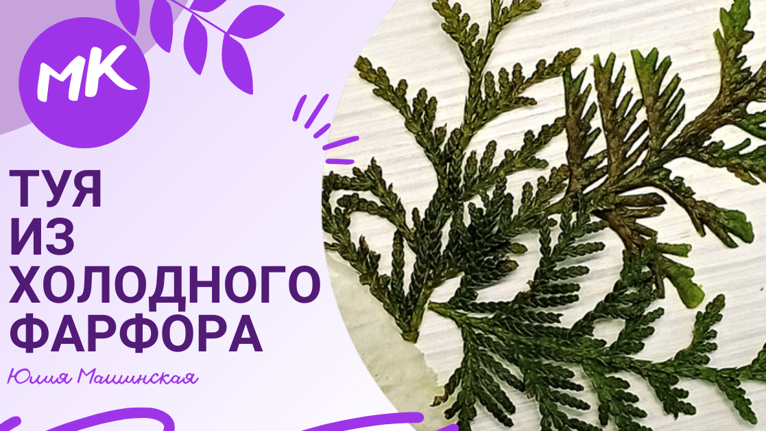 Мк Туя из холодного фарфора