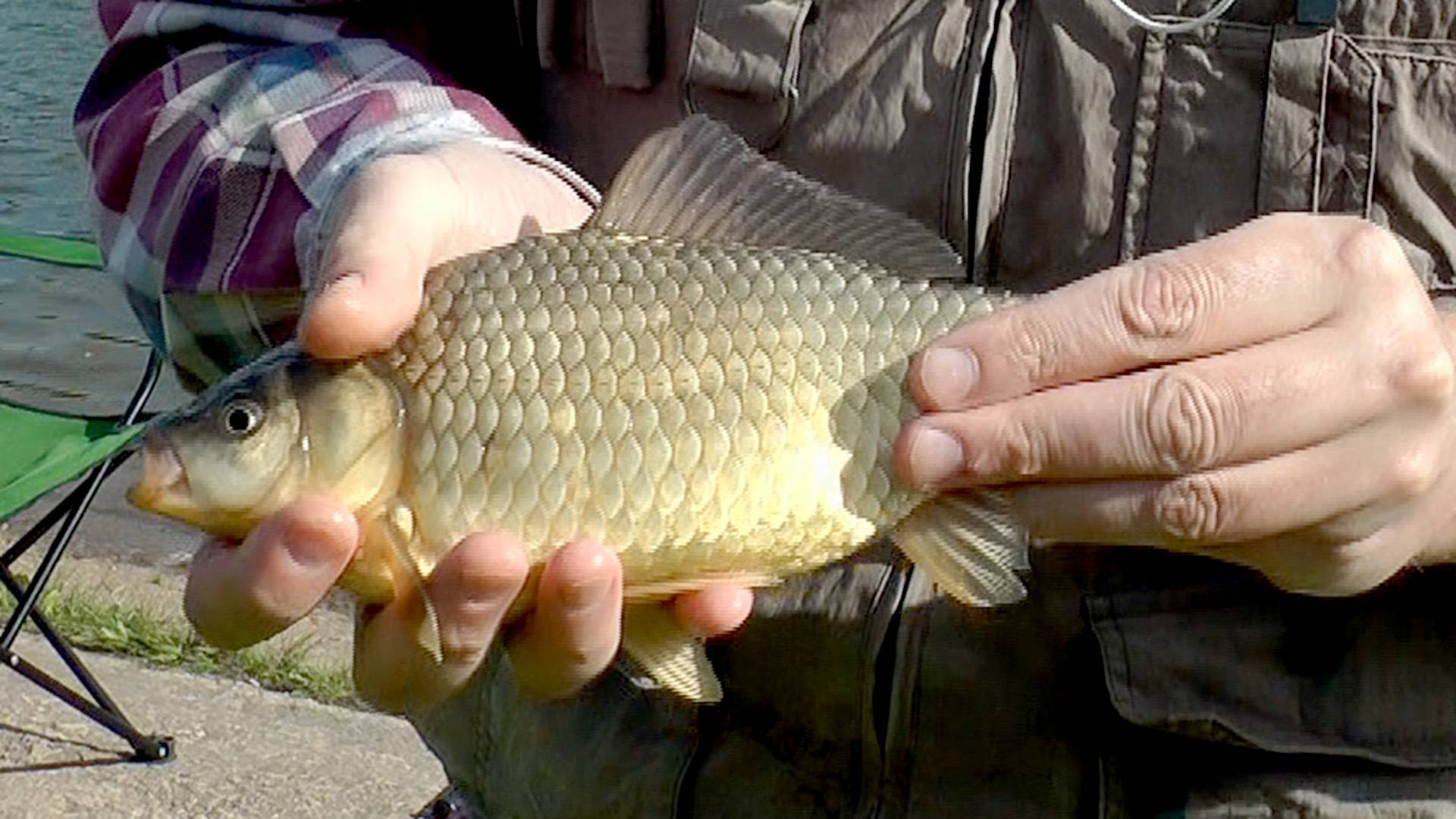Насадка, которую сложно сбить с крючка..