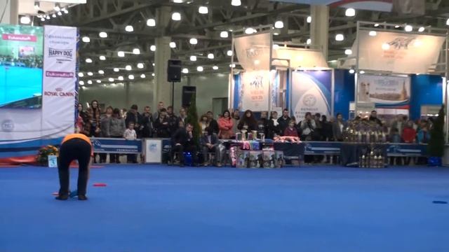 Показательные выступления Юля и Мартини