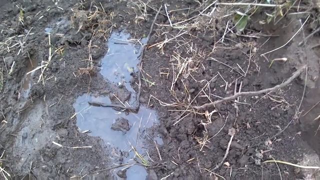 мой пруд, привезли трубу 530))