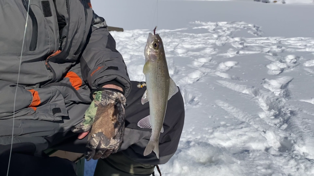 РЫБАЛКА ПОСЛЕДНИЙ ЛЕД.mp4