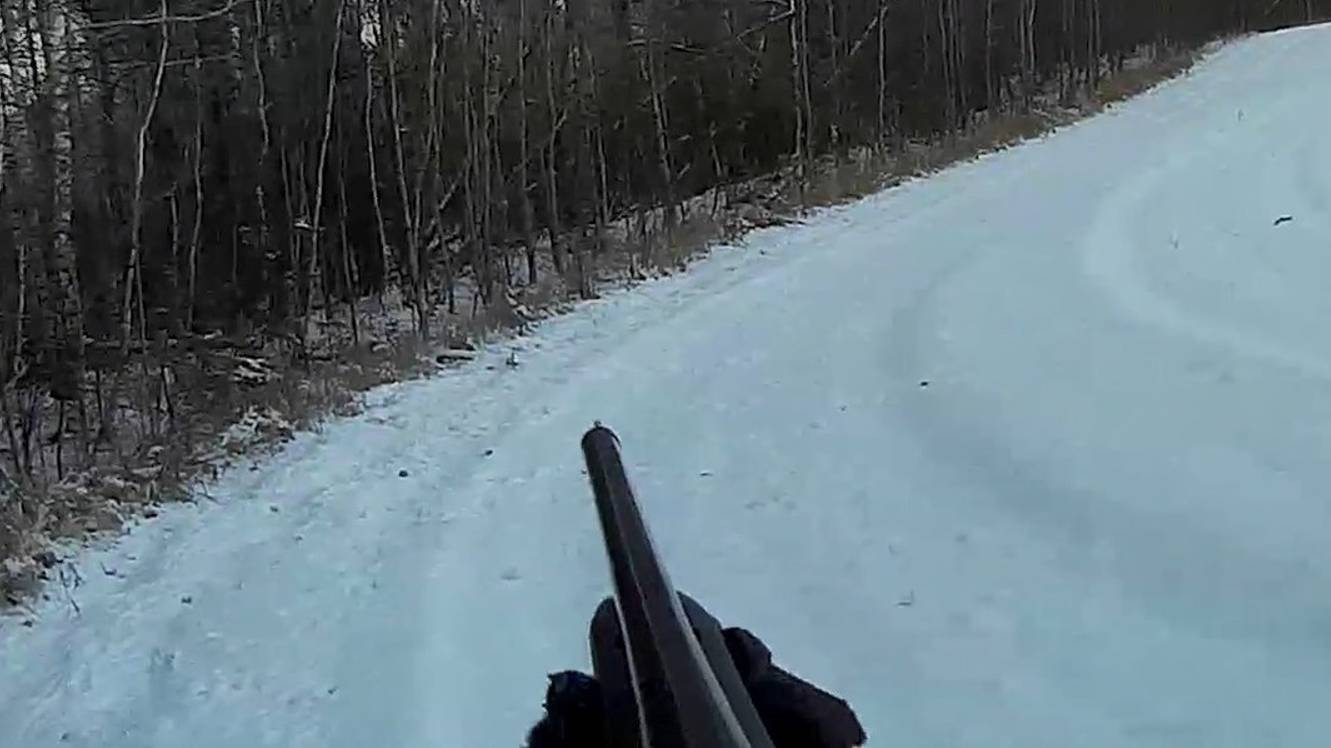 Заяц терминатор. Добрать до темноты