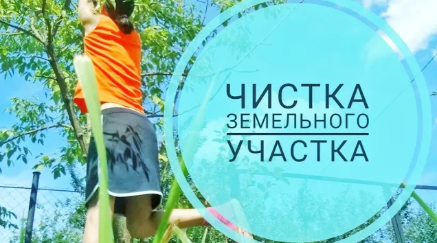 Покупка дачи. Уборка дачного участка.
