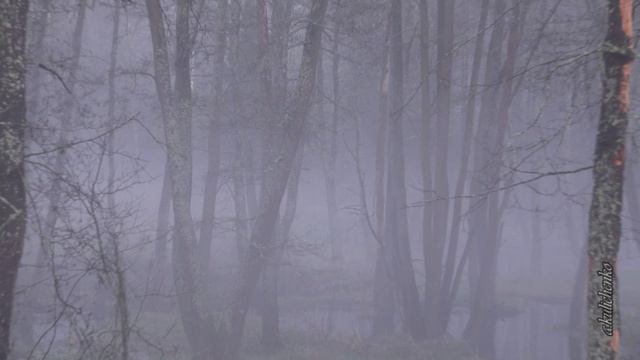 ВЕЧЕРНИЙ ТУМАН