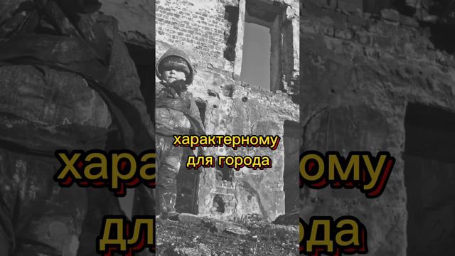 «ТЕНИ» 
БЛОКАДЫ
ЛЕНИНГРАДА