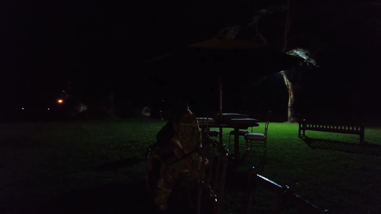 Африканский бард African bard