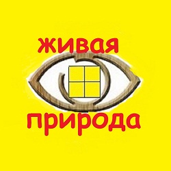 Божьи коровки.mp4