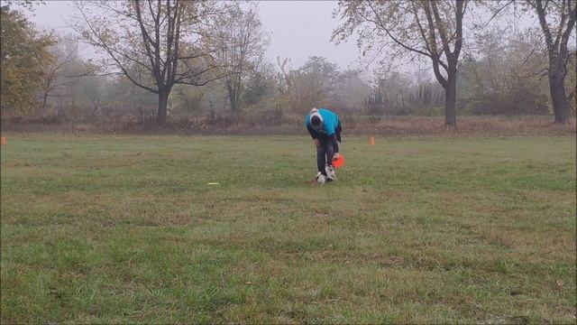 FrisbeeМанія2019   Дина чихуахуа Василиса.mp4