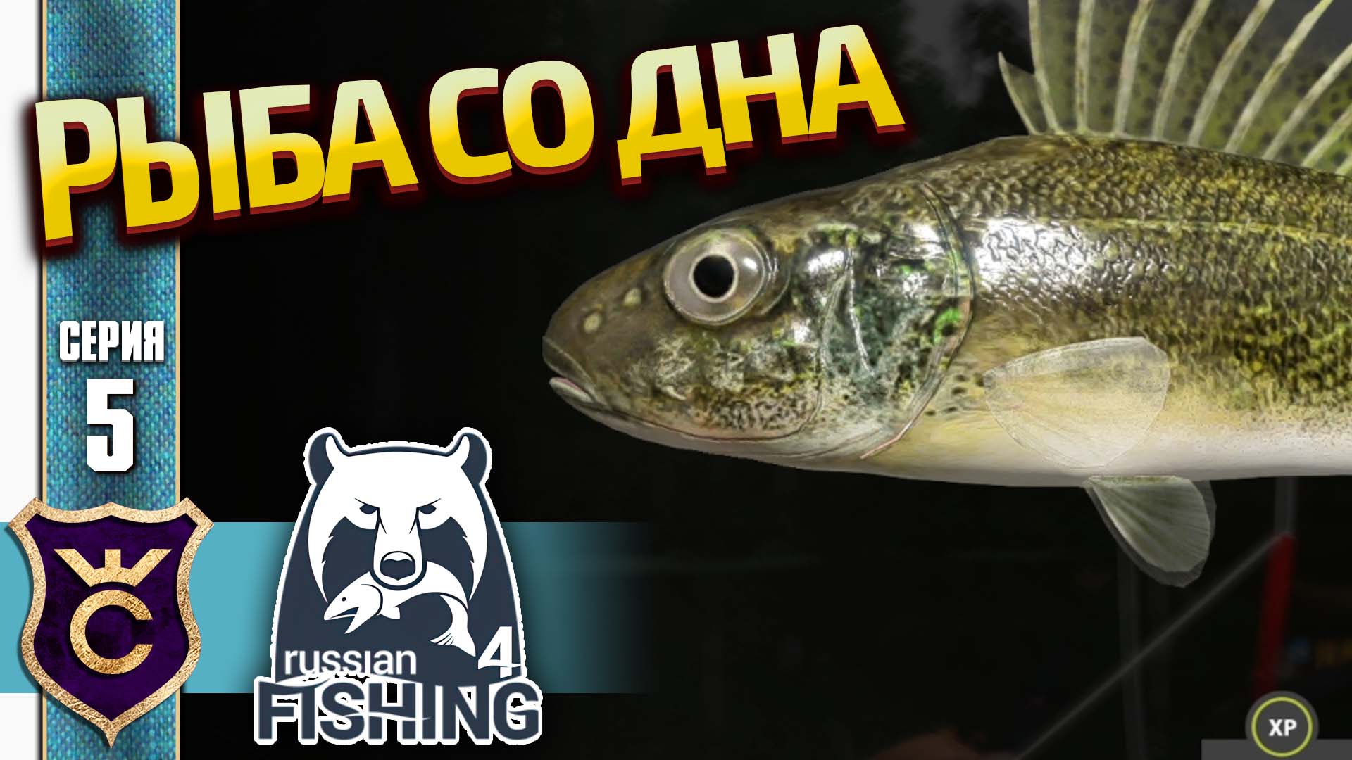 УЧУСЬ ЛОВИТЬ С ДОННОЙ СНАСТЬЮ! Russian Fishing 4 #5