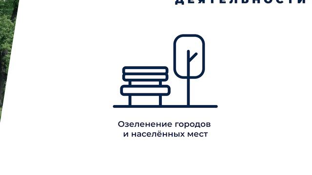 Специальность 35.02.12 Садово-парковое и ландшафтное строительство