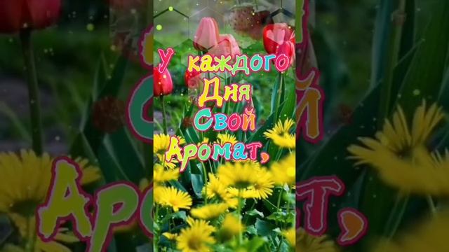 Доброго утра, хорошего дня!