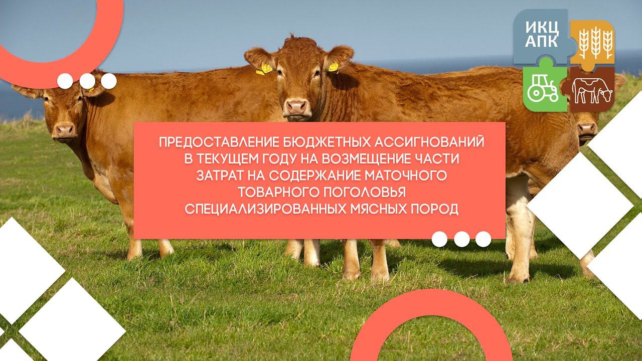 Запись семинара от 3 марта 2022 года