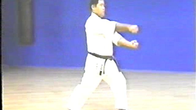 Техника ударов руками