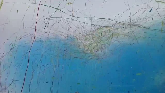 Финальный Праздник В Масленица 2024