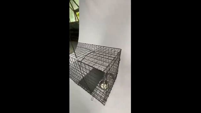 Клетка-ловушка wikiVET КЛ-9 для собак