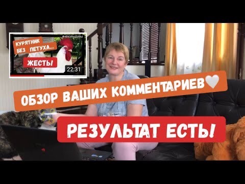 Переполох в курятнике. Как подселить петуха к курам. Новый петух.