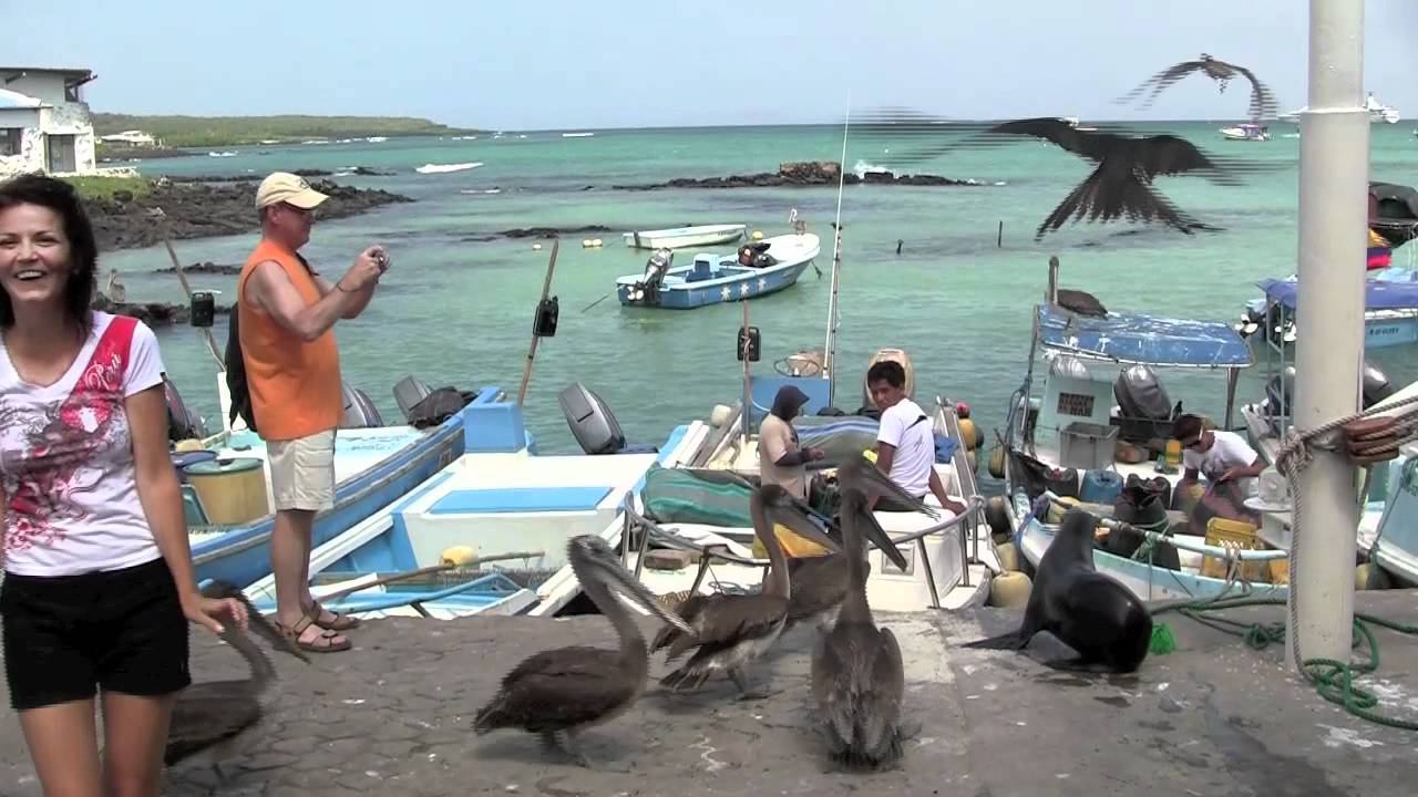 Галапагосские Острова 2012 год: Первый день на Галапагосах