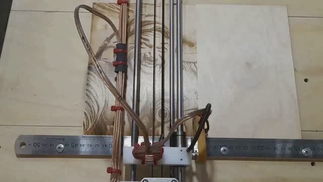 фото с  акулой