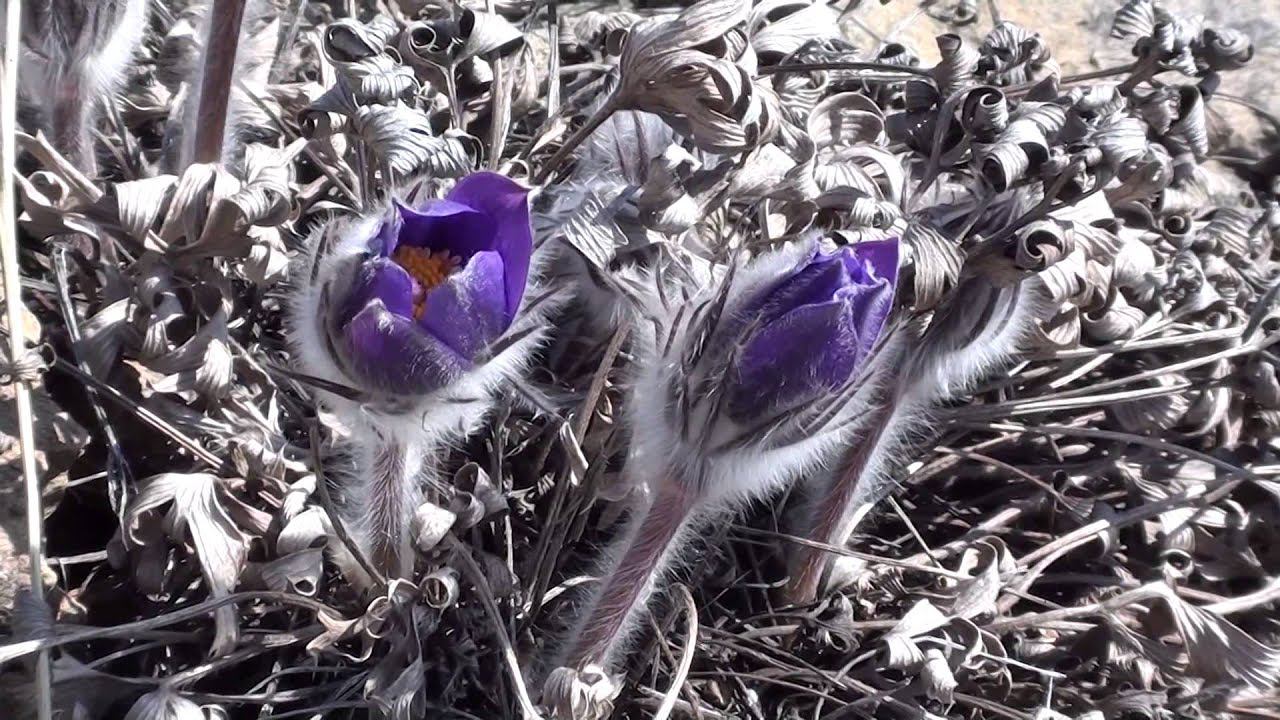 Поход по Уралу 2014 часть1