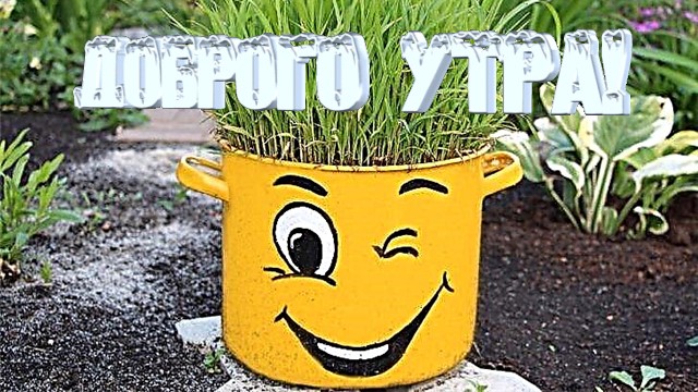 ?С ДОБРЫМ УТРОМ!