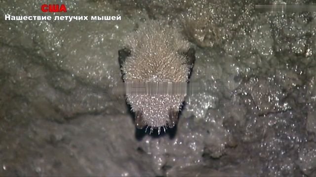 Катаклизмы на земле 8 ДЕКАБРЯ 2023 года! Месть Земли! Изменение климата в мире