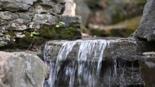 Нежная музыка флейты, пение птиц и шум ручья. Быстрое успокоение, расслабление, глубокий сон.