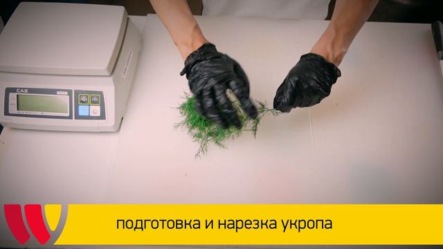 Подготовка Укропа