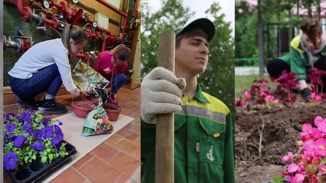 Территория красоты