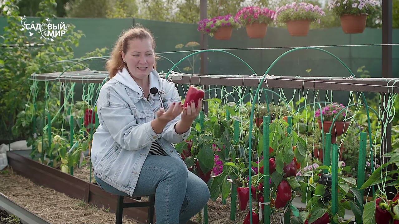 Этот перец станет вашим любимчиком на 100%