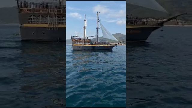 Аренда Яхт. Морское путешествие. Встречи с  Дельфинами. Лазаревское