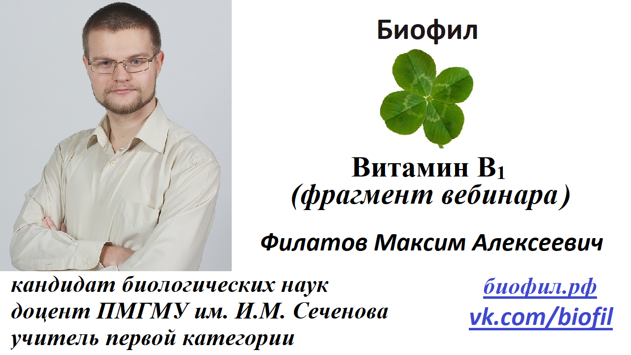 Витамин В1 || Биофил. Подготовка к ЕГЭ, ОГЭ, ЦТ и ЕНТ по биологии.