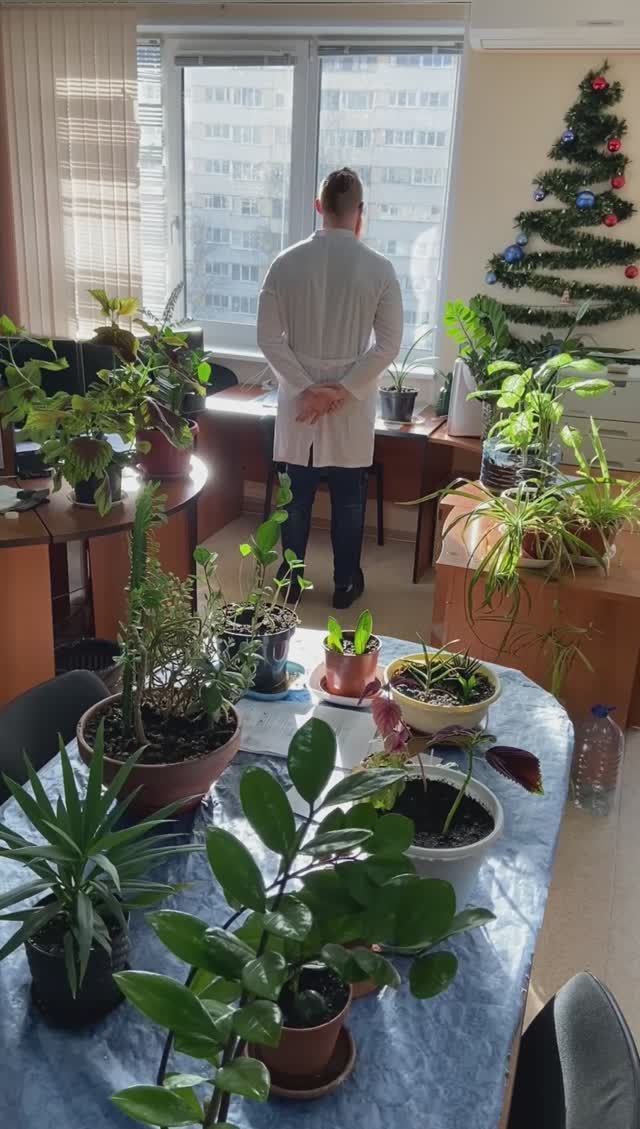 Не на то жалуетесь