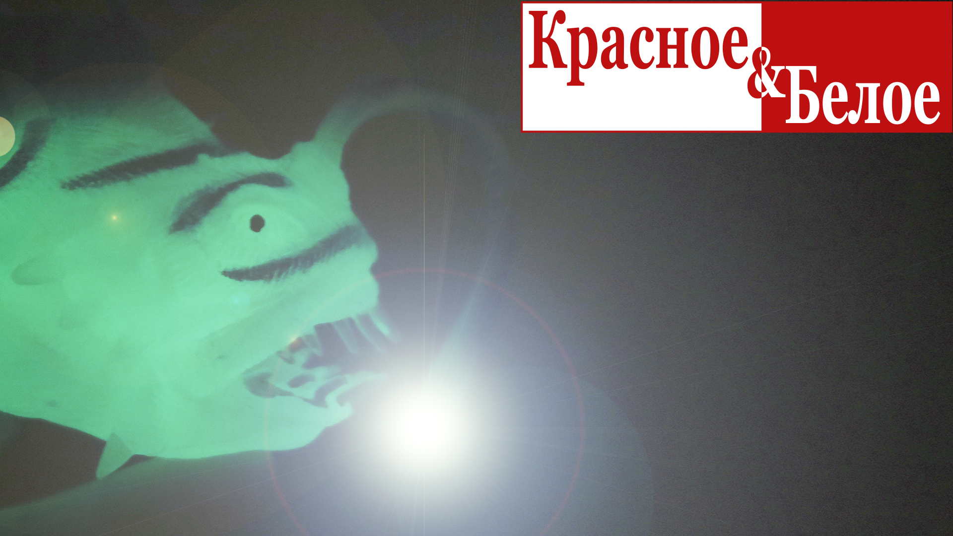 🐟 Подводные МОНСТРЫ из КБ! Коллекция макси Подводный мир