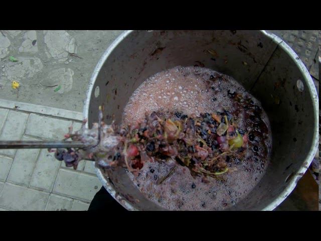 Альтернативный метод отжатия винограда на вино
