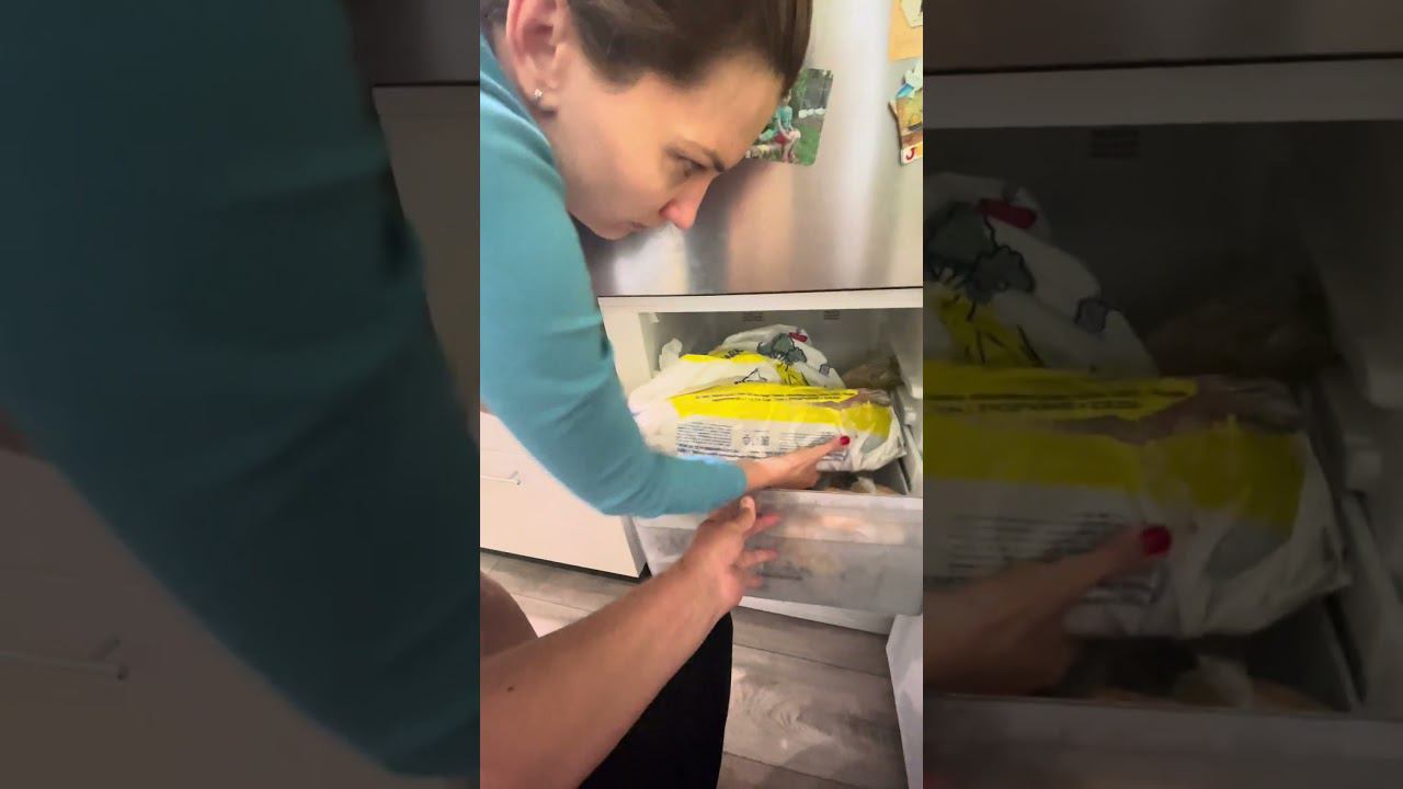 Раздача судаков