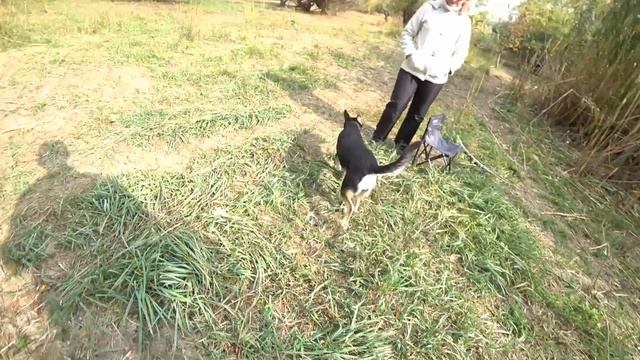 Ерик Ножовский, рыбалка 17.10.2018..mp4