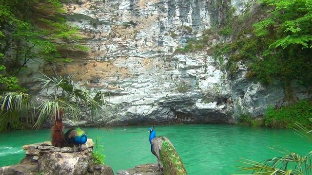Голубое озеро и павлины. Музыка Вадим Манцев (NikaDim).