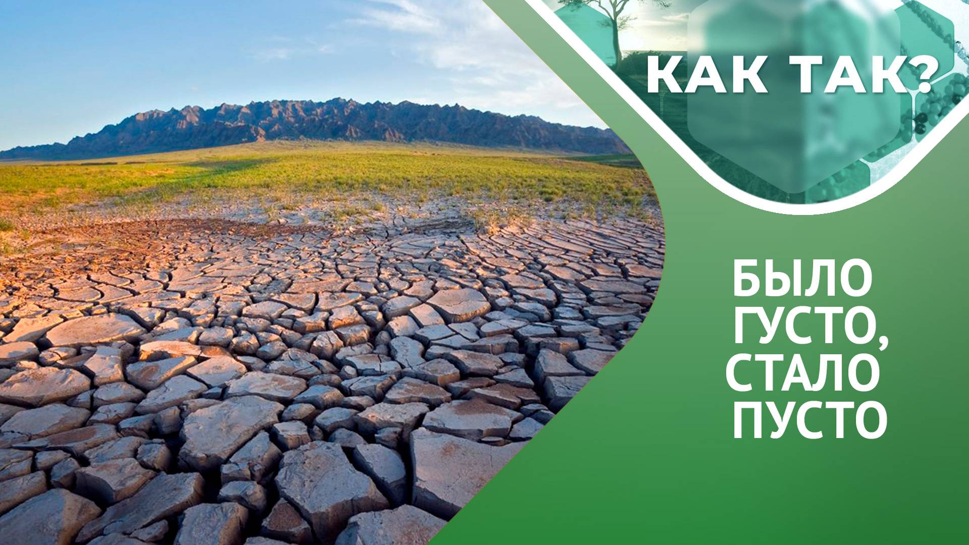 ЧТО происходило с нашей планетой? Кто еще вымрет?  // "КАК ТАК" Выпуск 15