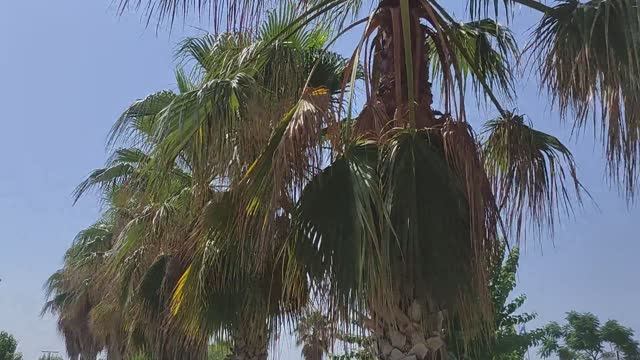 Прогулка по набережной Турции Сиде. Турция 2021. Турция Сиде.