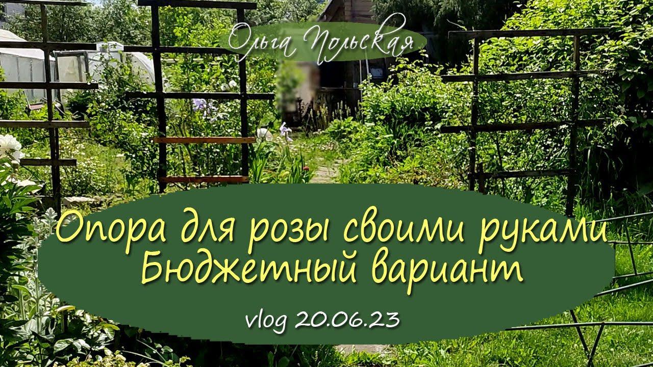 Опора для розы своими руками. Бюджетный вариант | Vlog Дача как есть. Хроника 20.06.2023