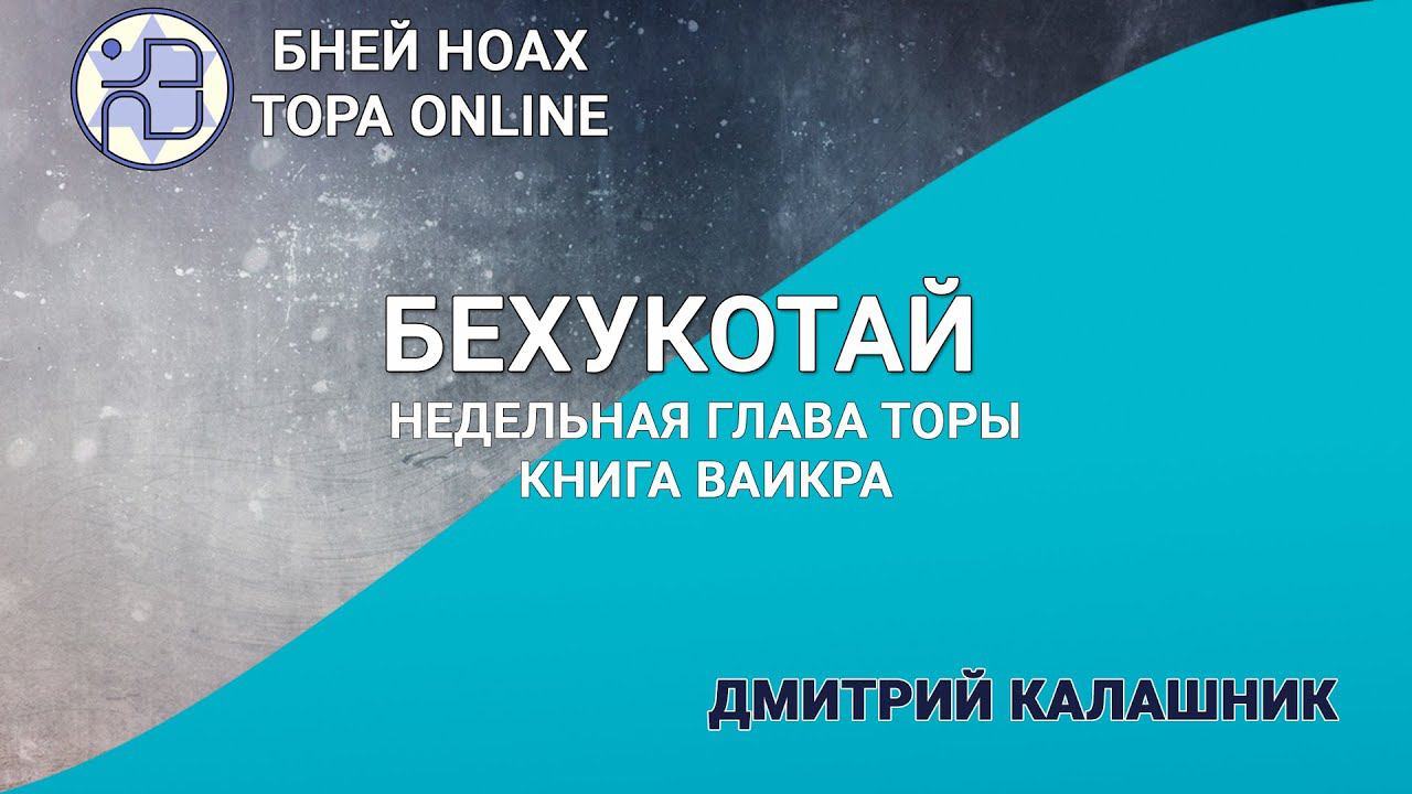 Недельная глава Торы - Парашат а-шавуа -  "Бехукотай" 5784/2024. Дмитрий Калашник