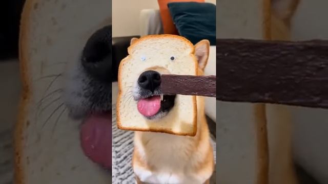 Улыбнись ,,???