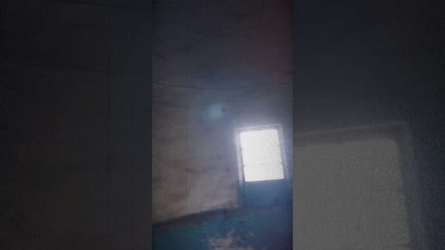 на заброшке встретили... котёнка?...