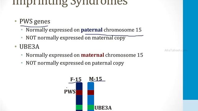 Генетика USMLE - 1. Генетические концепции - 6.Импринтинг