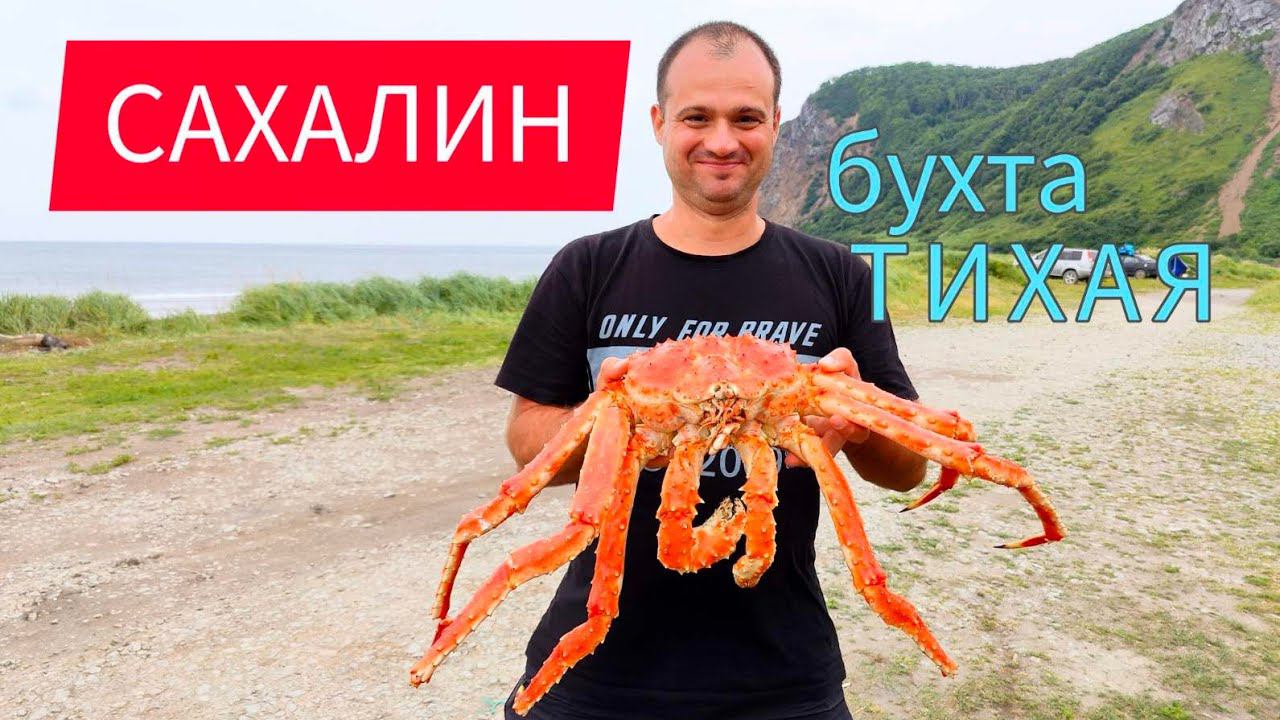 Ловим горбушу руками и едим большого краба! 3 дня в потрясающей бухте Тихая на Сахалине! #3