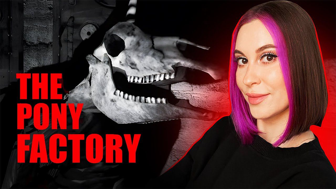 АДСКИЕ ПОНИ! / THE PONY FACTORY / ПРОХОЖДЕНИЕ