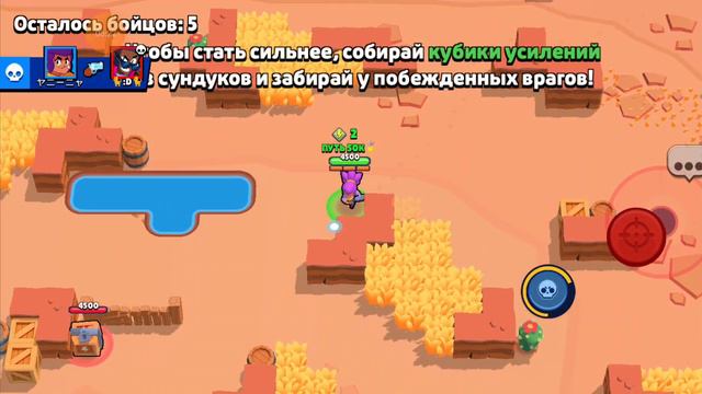 Новый проект без доната!!Путь 50к!!!)/Brawl stars