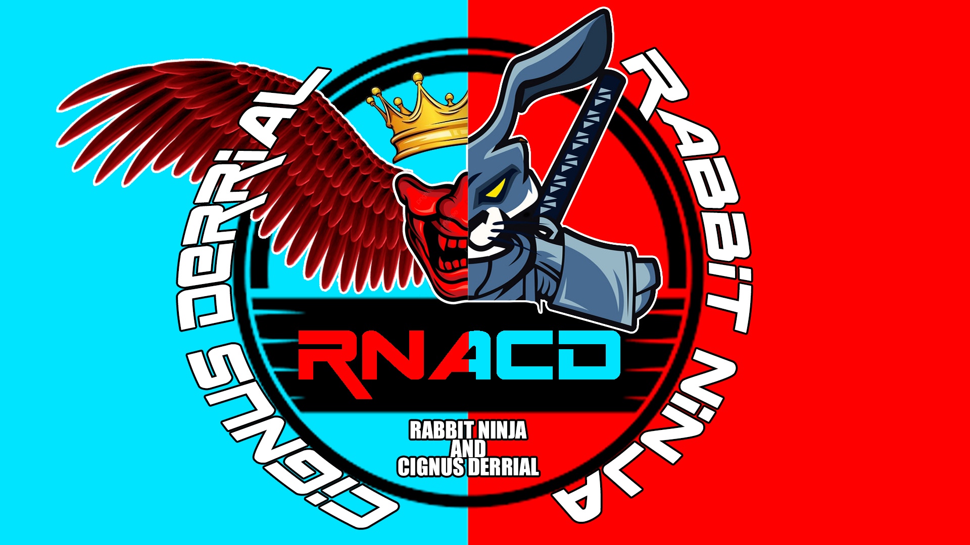 RabbitNinja man of the match #1 2017