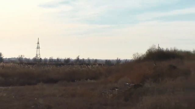 заяц я тебя вижу и два контрольных!.mp4