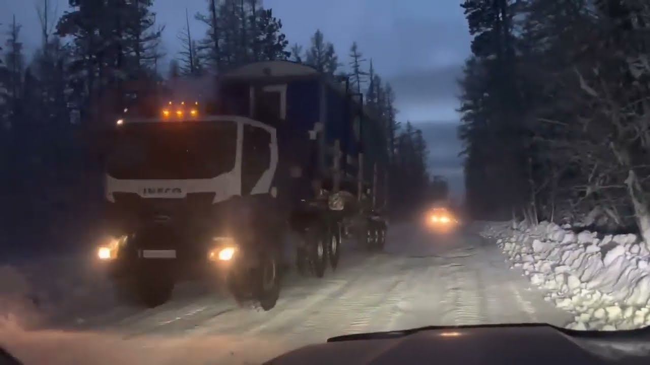 Песня «Безрогая»